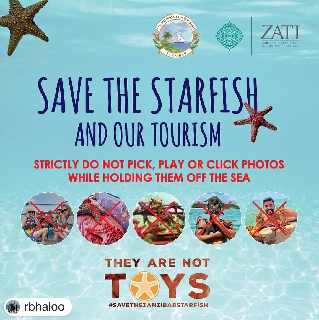 Wildlife watching guidelines - Zanzibar Wildlife